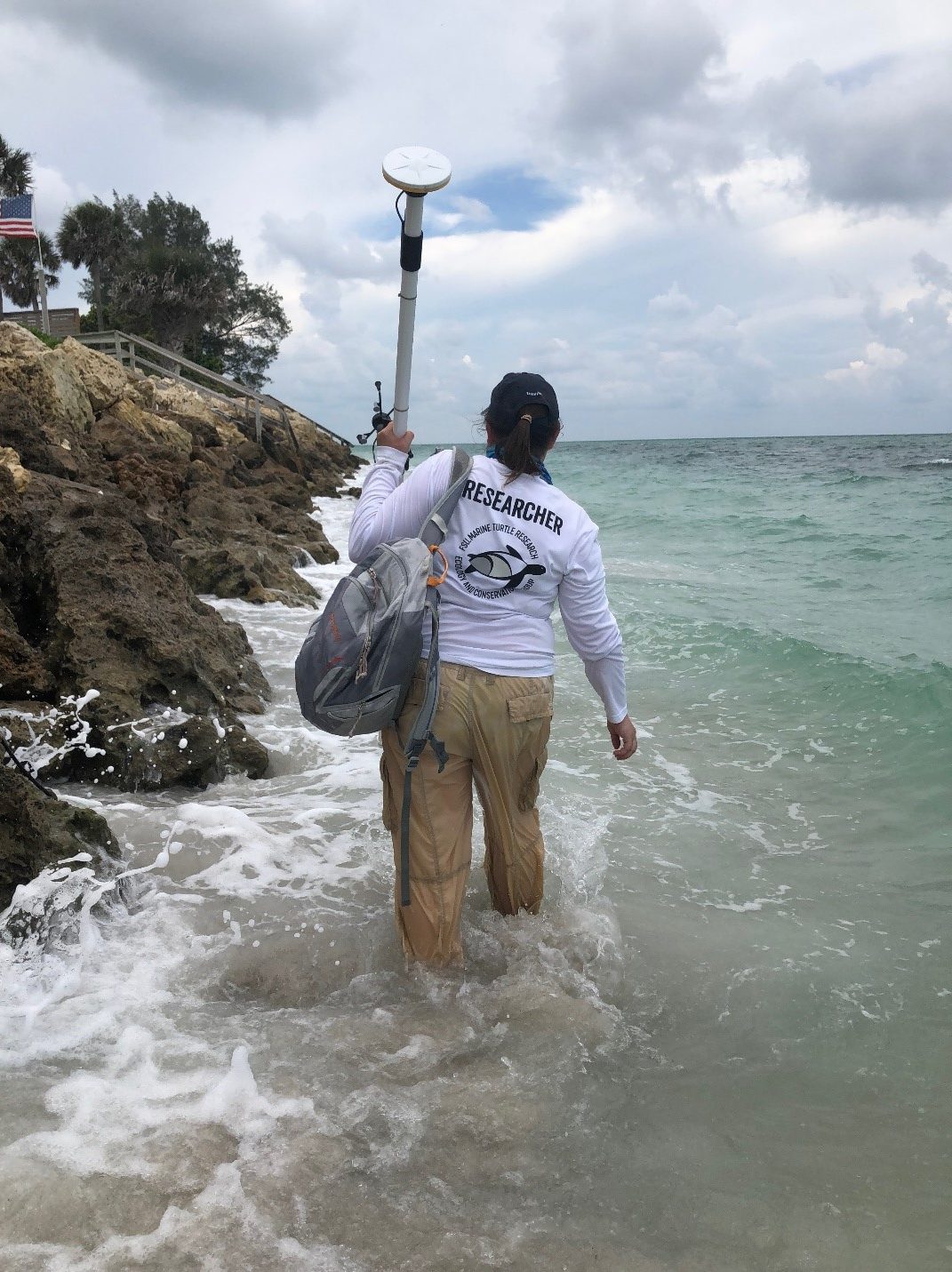 Cumulative Impacts of Coastal Development on Marine Turtles